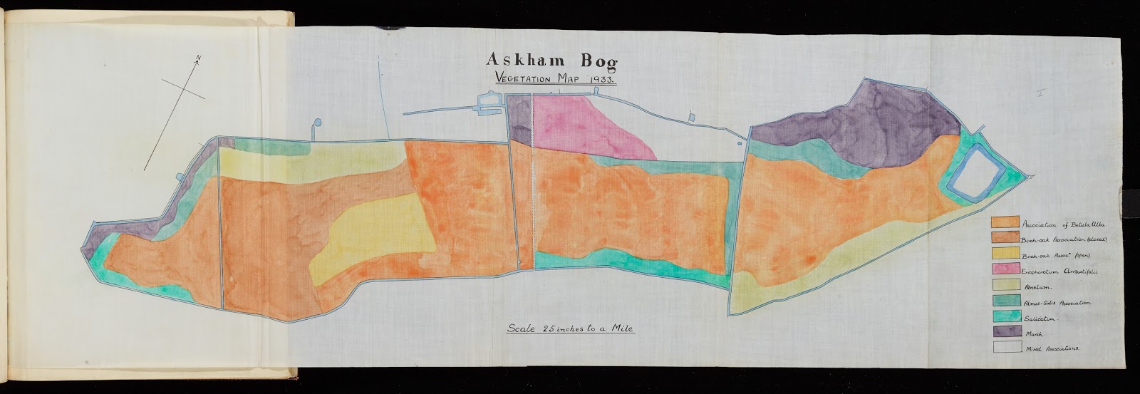 Yorkshire Wildlife Trust: 70 years on | Borthwick Institute Blog