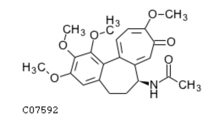 My Chemistry Journey: ALKALOID