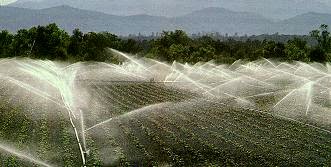 Irrigation for Dummies : Pictorial View - Types of Irrigation Systems