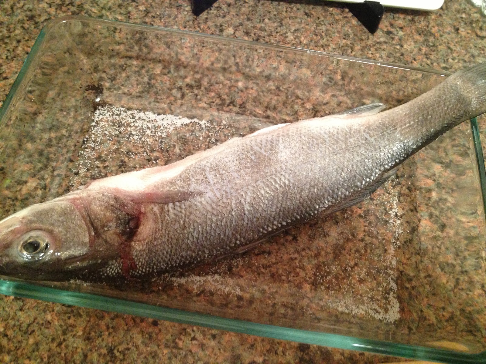 My Favorite Whole Fish - Bronzini