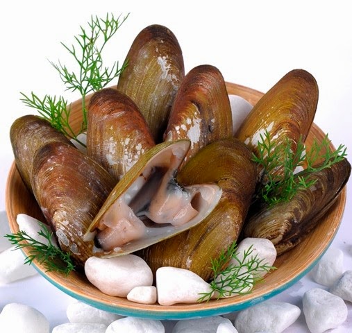 Chem Chép | Săn Hải Sản