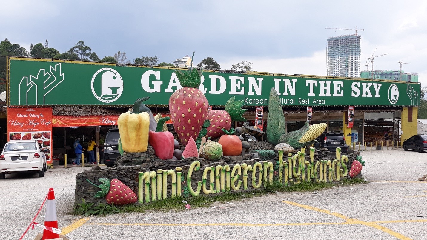 Mohd Faiz bin Abdul Manan: Mini Cameron Highlands Garden