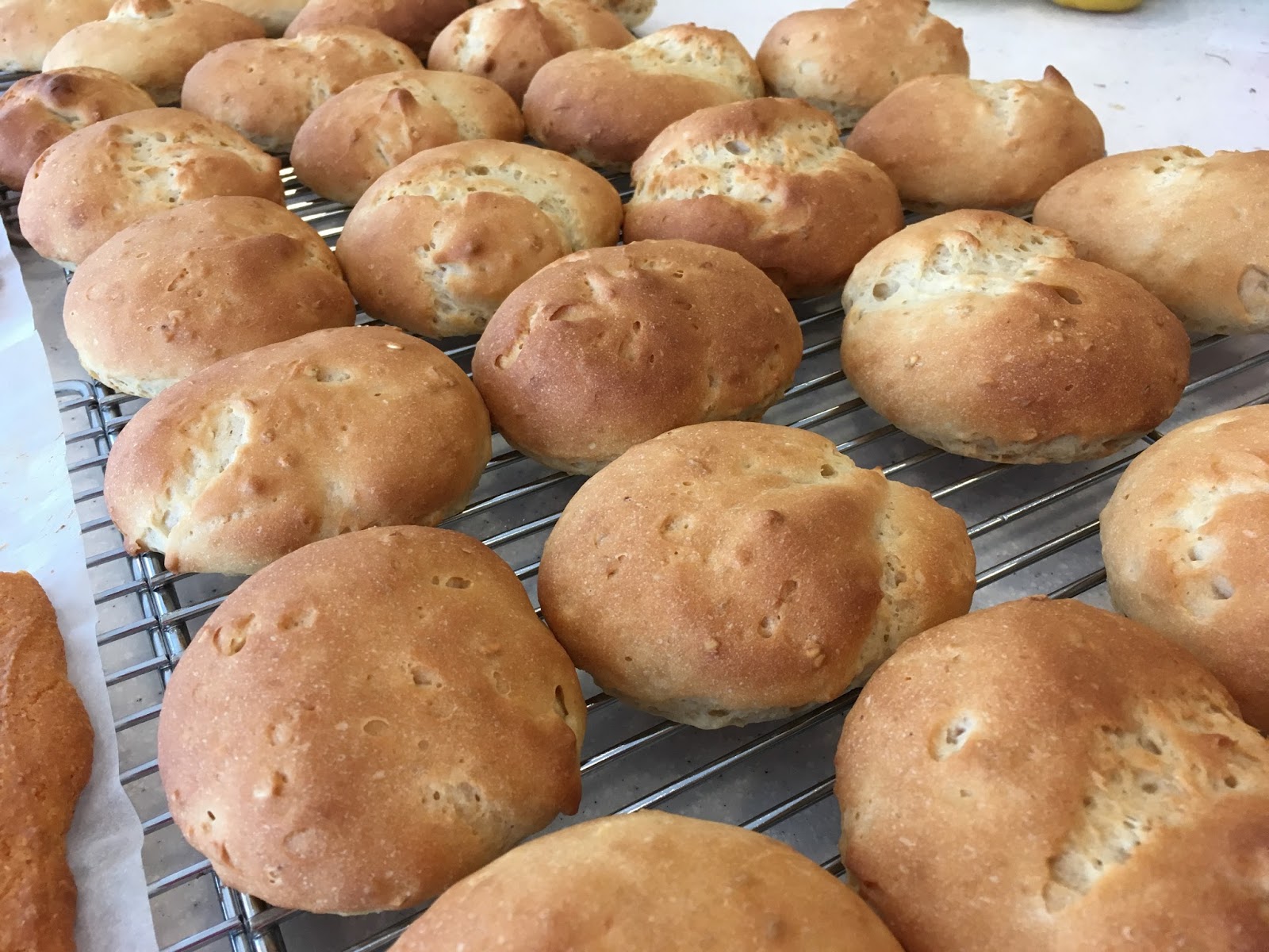 Successfully Gluten Free! : My New Favorite Versatile Rolls