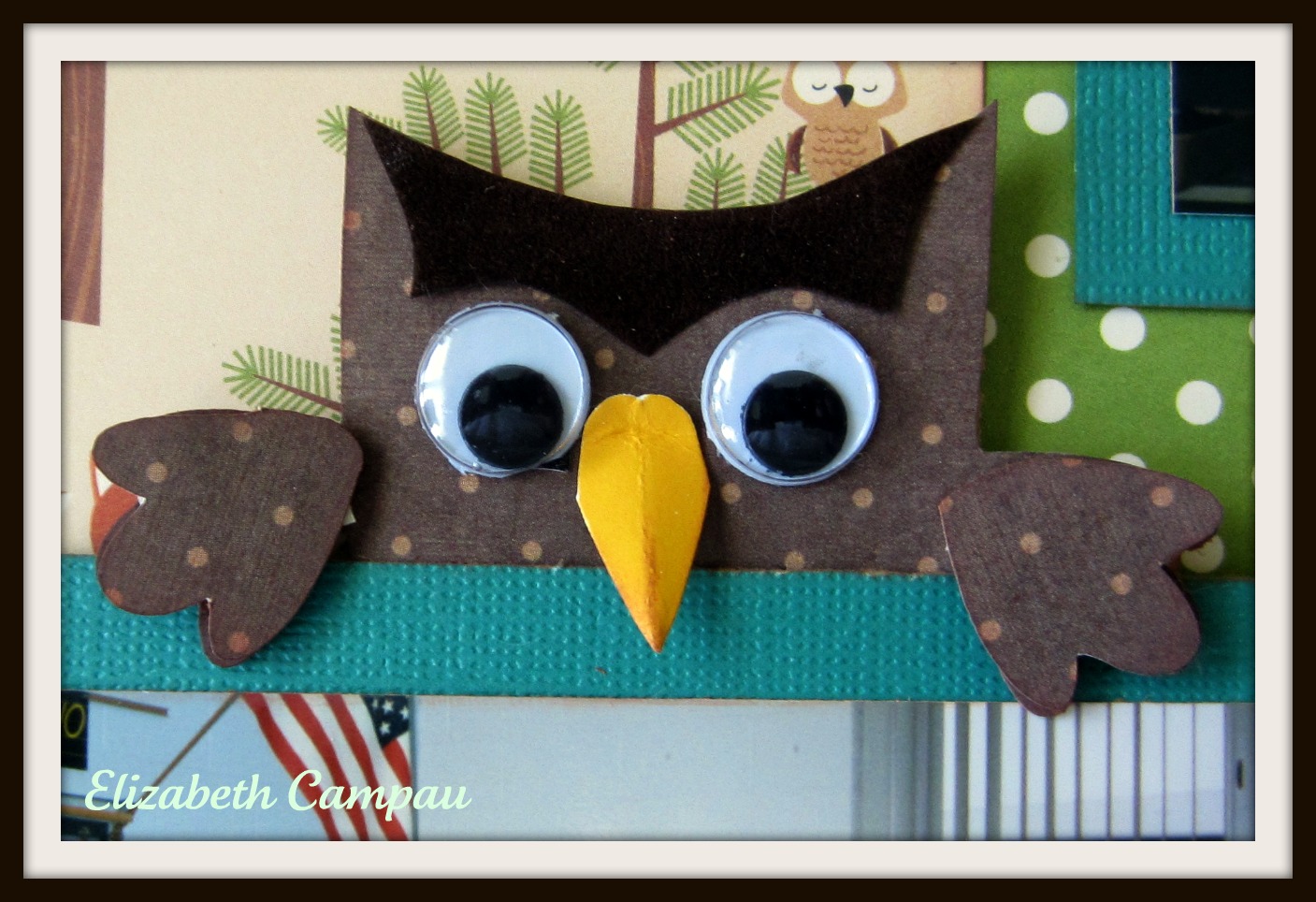 Visions of Paper: Hoot- Owl Classroom Layout