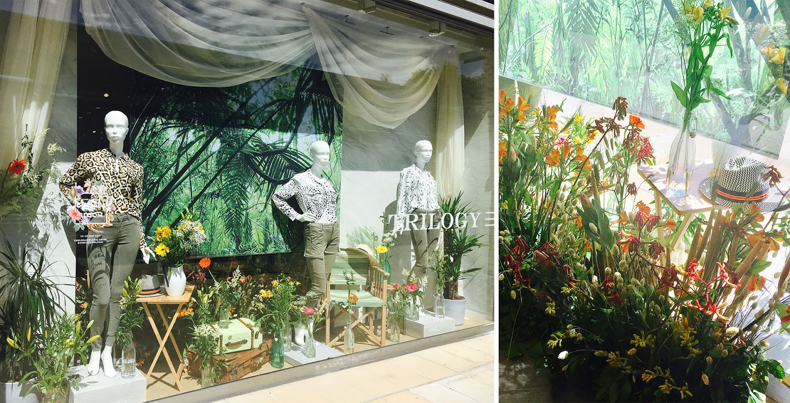 SMK Pemasaran: DISPLAY