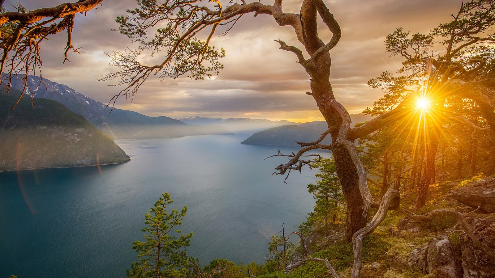 Brillo del sol wallpapers