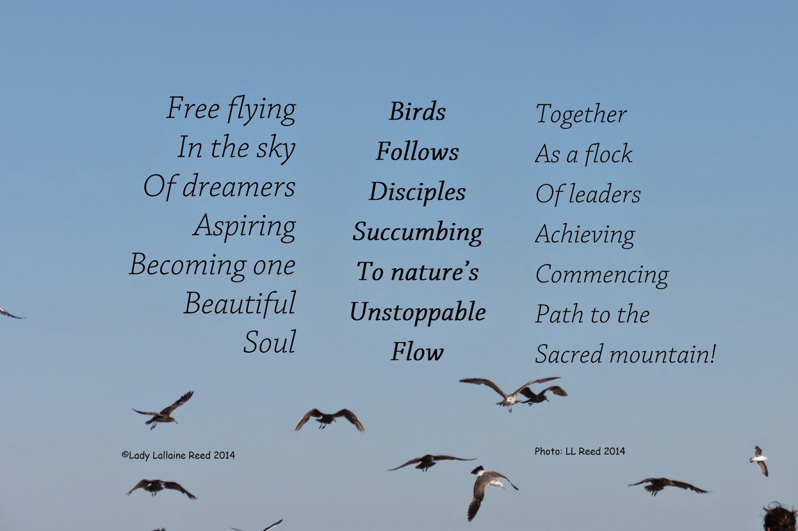 Lady Lallaine Reed's Positive