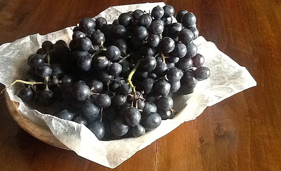 Cuisiner comme Laetie: La crème de raisin noir