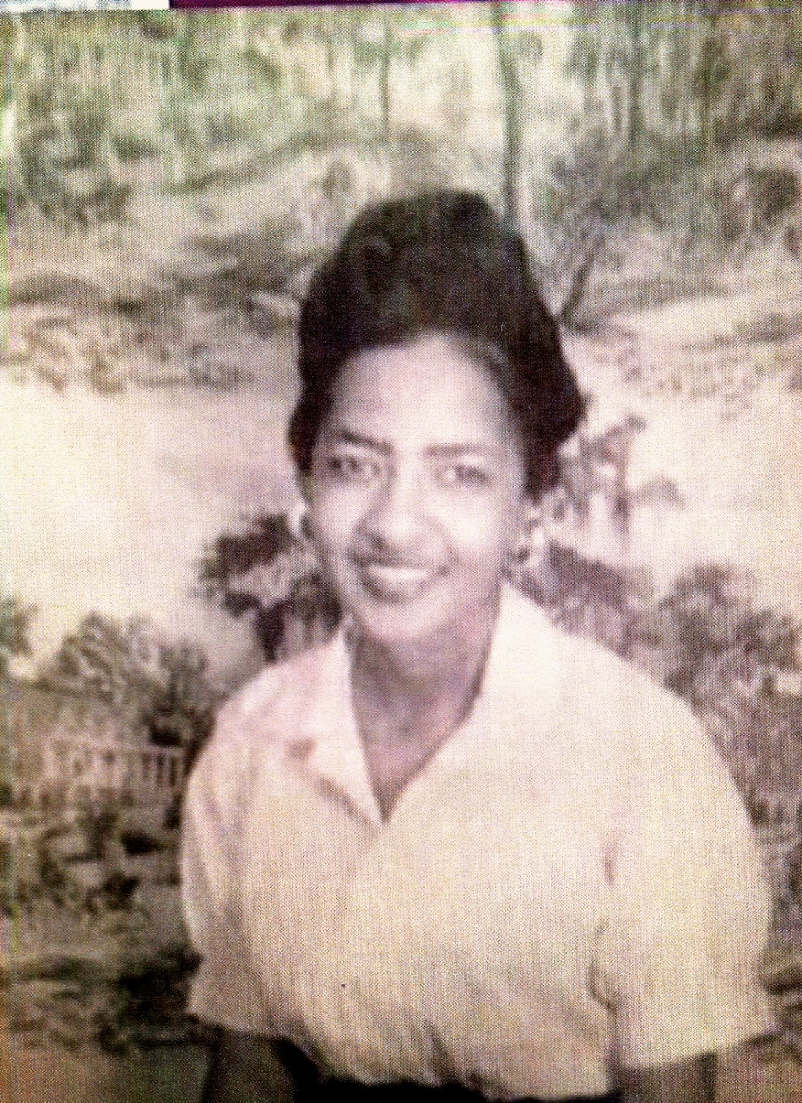 Between the Gate Posts: November 2013