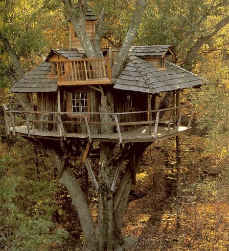 Amazing Tree Houses In Africa