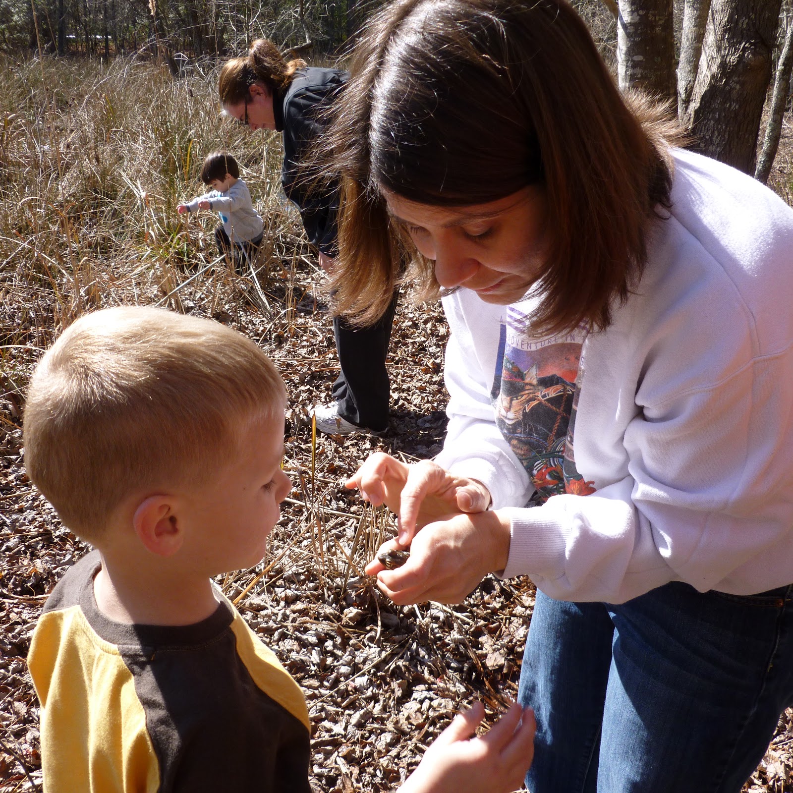Aut-2B-Home in Carolina: What Happens When You Kiss a Frog?