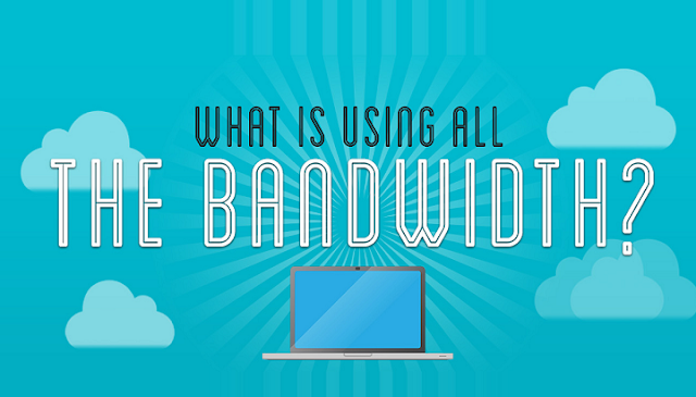 What Is Using All The Bandwidth? [Infographic] - Visualistan