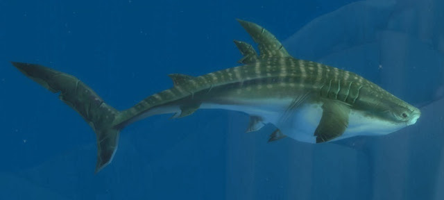 WoW Rare Spawns: 2011