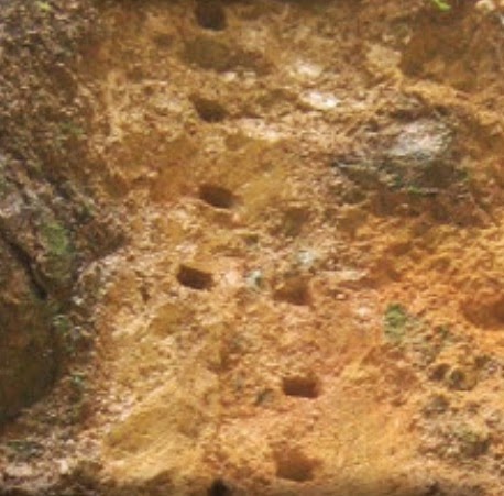 Residual Soil: Laterites and Saprolites