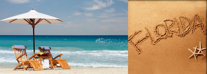 Top 5 Things I love about living in Florida - Green Fashionista