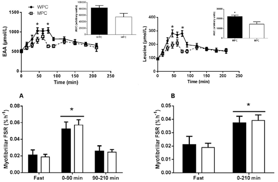 Native Whey, a Superior Muscle Builder? Recently Observed Impressive ...