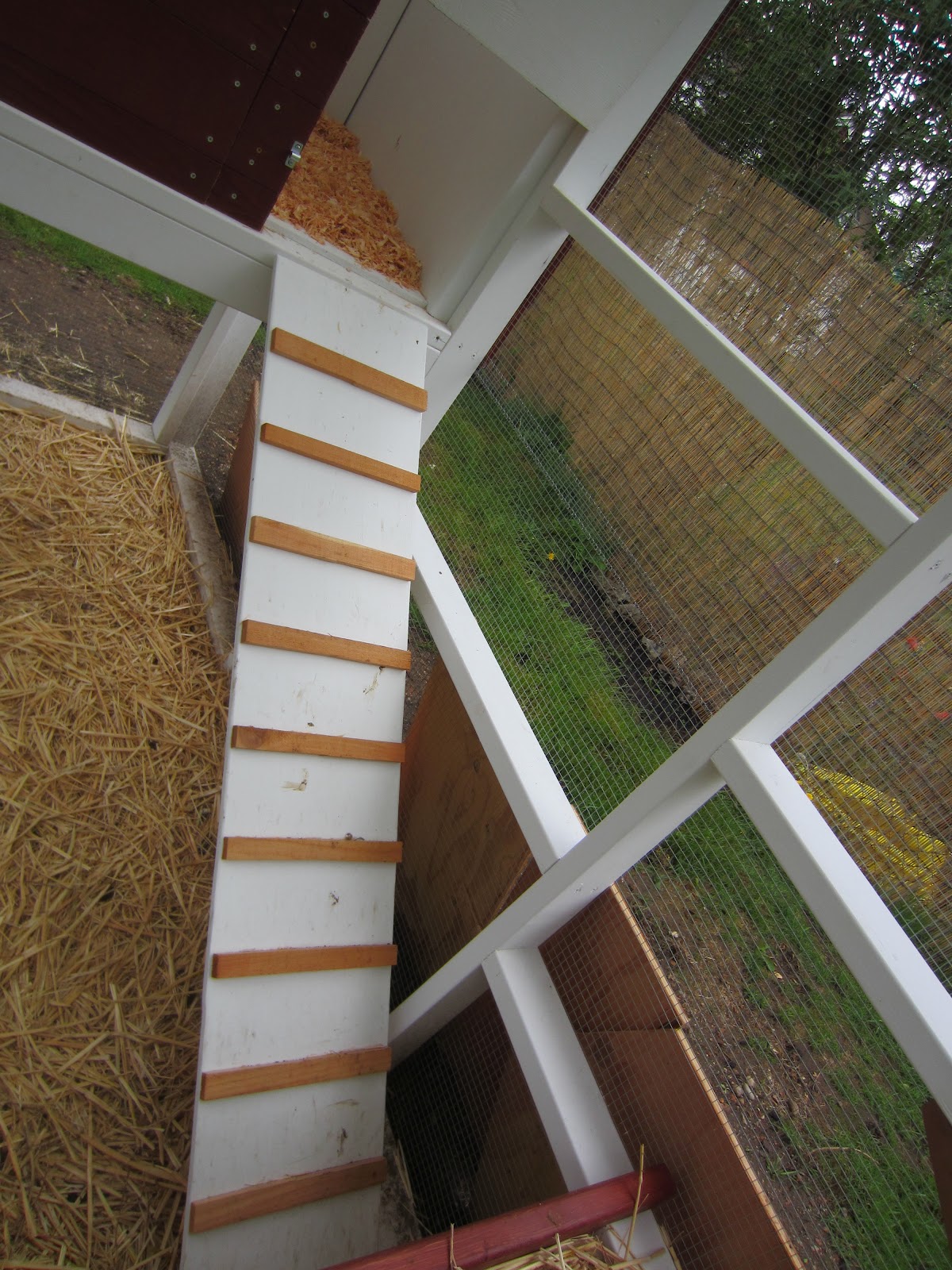 Joanie's in the Garden: How we built The Chicken Barn