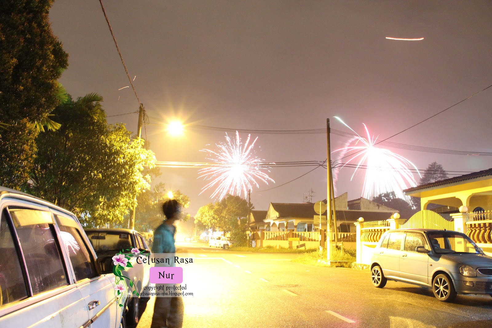 Cetusan Rasa: Percikan Bunga Api