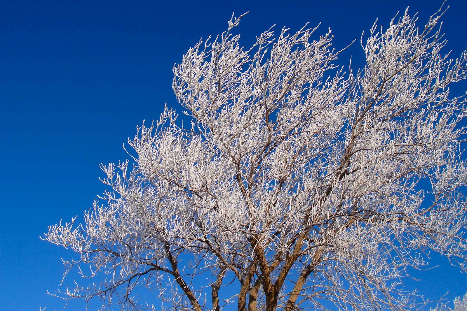 Poetry Of Spirit And Light: Air Hoar And Snow Melt Poetry