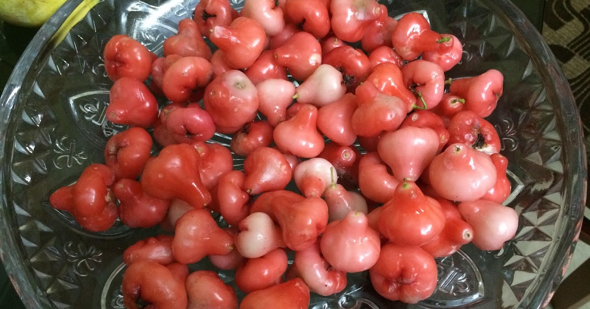 Finite Pixels: Rose apple (Chambakka) wine - Kerala style