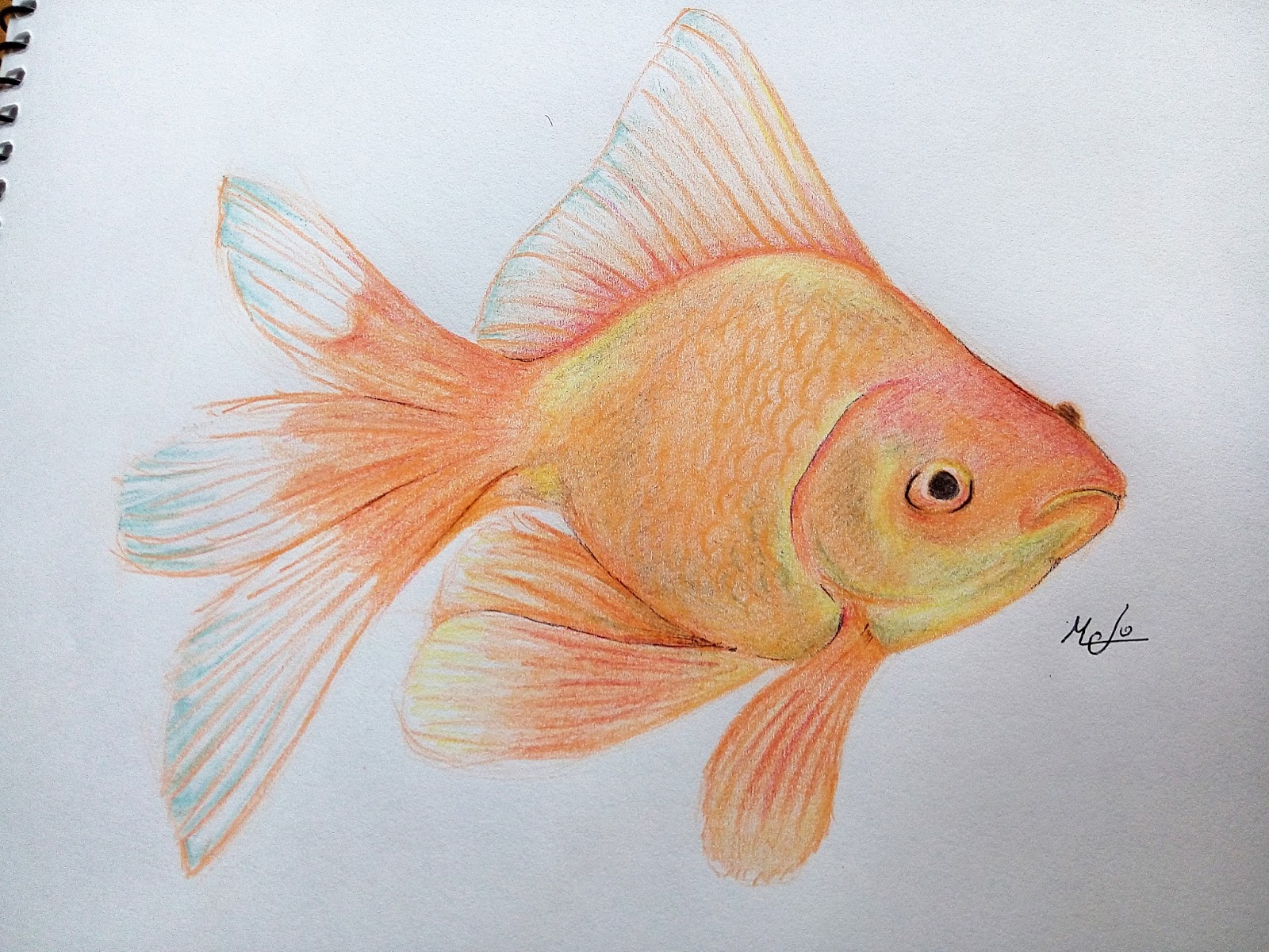 Los dibujos de Meli: Goldfish