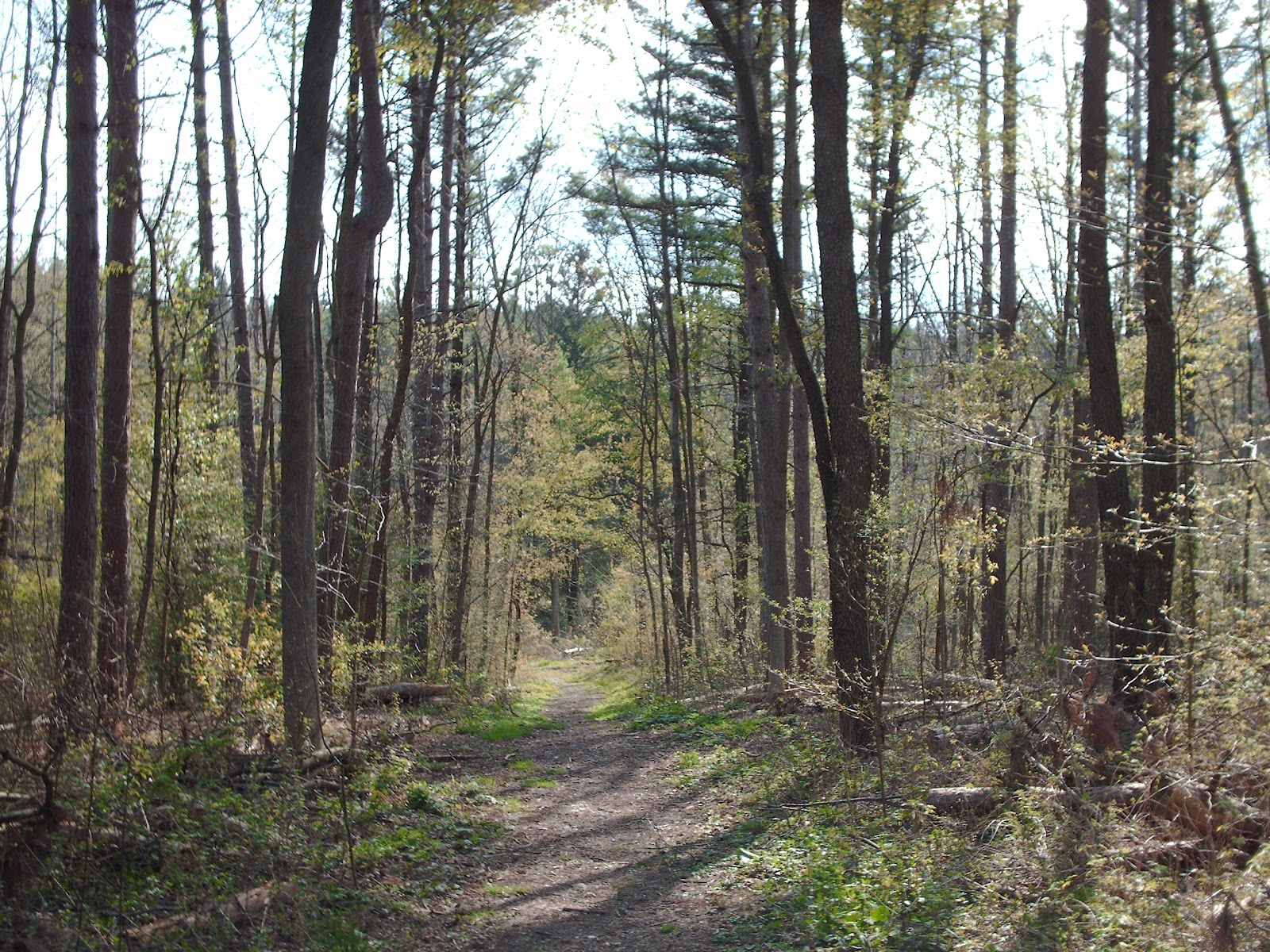 A Photographic Tour of Embro Conservation Area - Chase March - Official ...