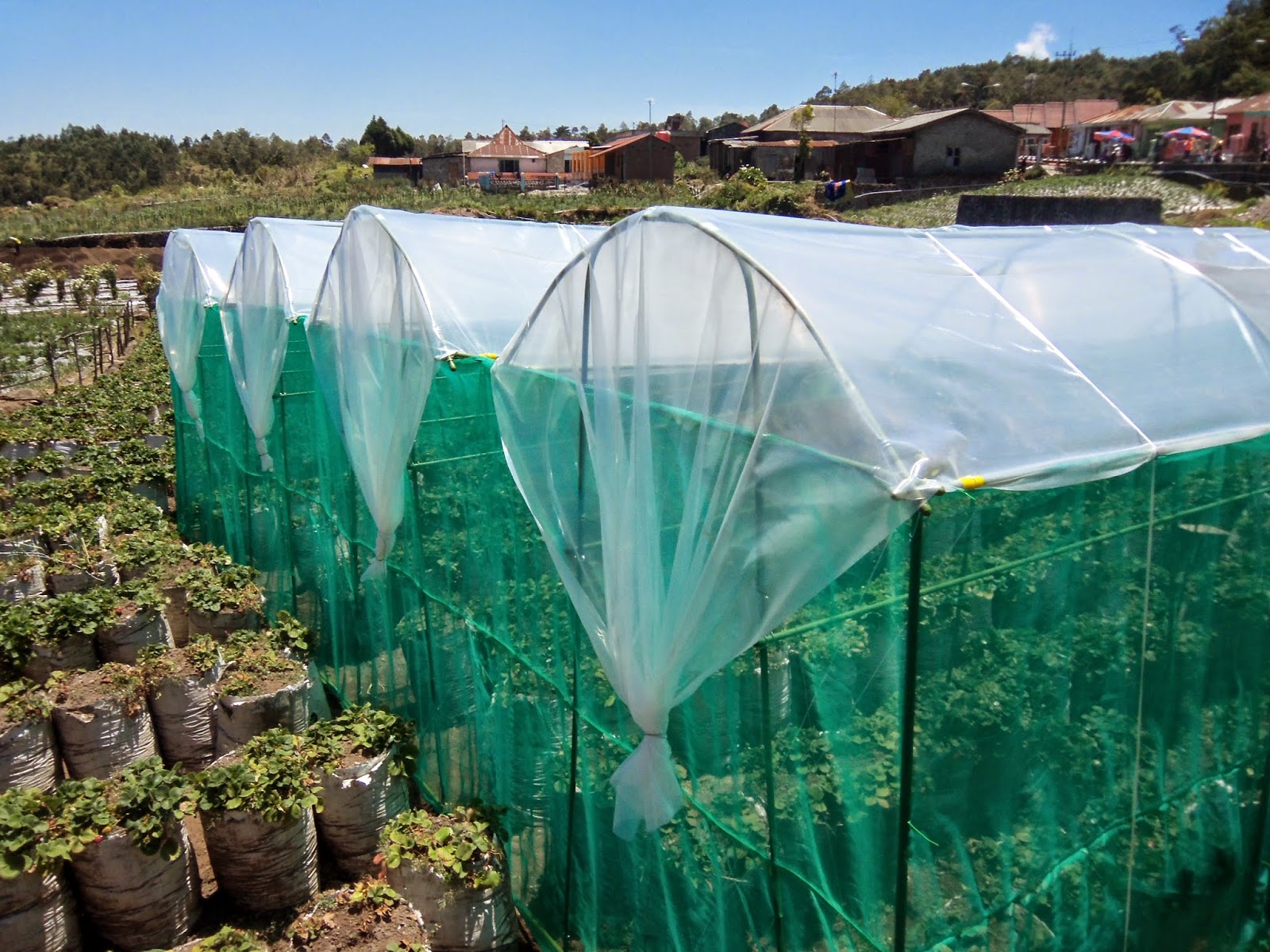 PT Takiron Indonesia: Produk