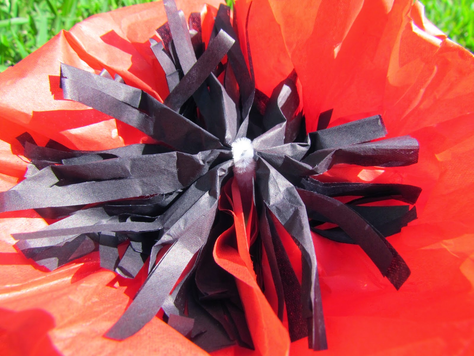 Living by the Guide Law: Tissue paper poppies