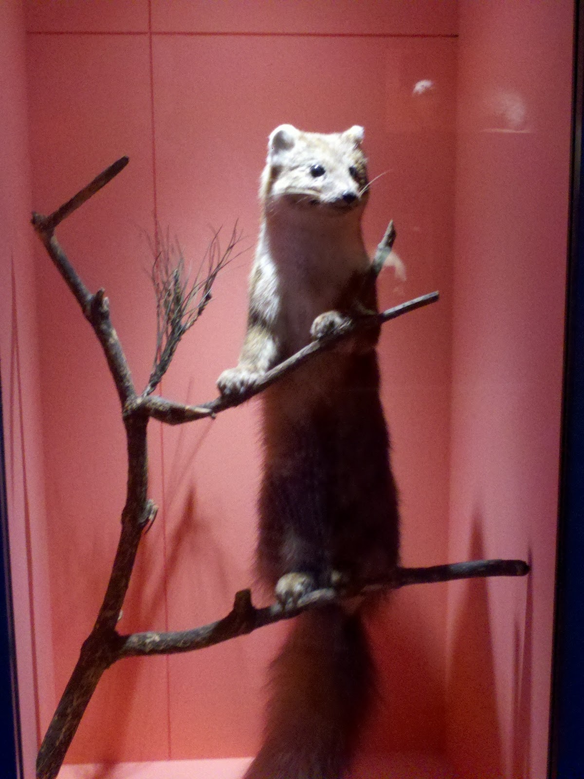 East Coast to West End: February 2011