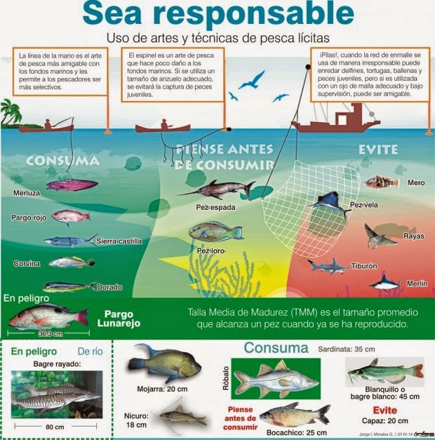 Conservando Recursos Hidrobiológicos y Pesqueros: Peces, también ...