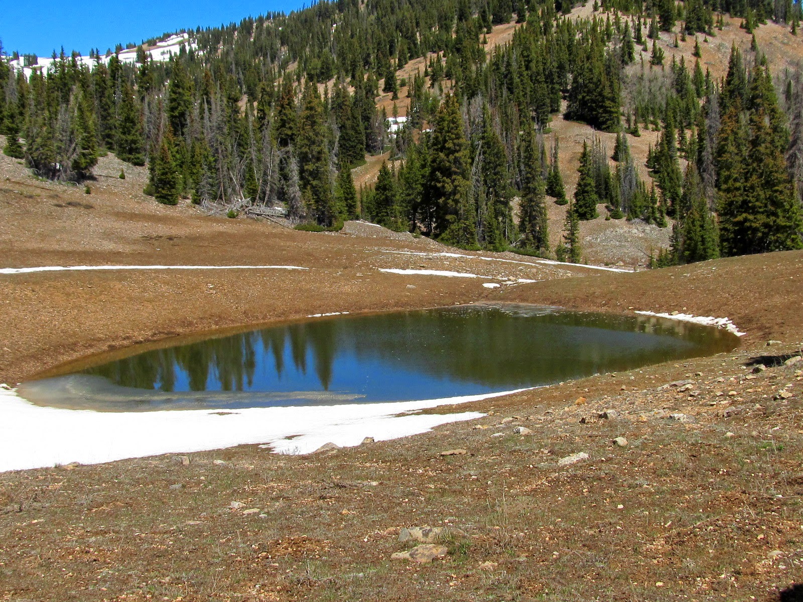 Janie and Steve, Utah Trails: Tworoose Pass Trail