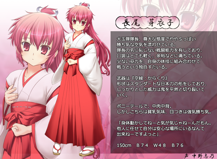 Visual Novel: Princess Miko-san - postaci