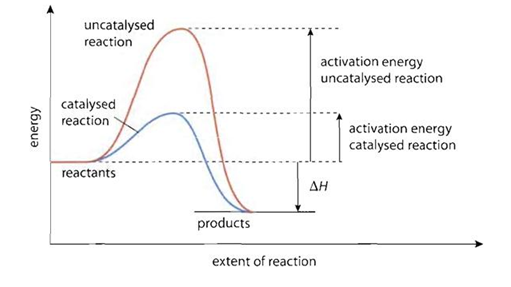 Nathalie Chemistry Blog: Collision Theory (3)