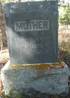 Ancestral Breezes: The Adams Family