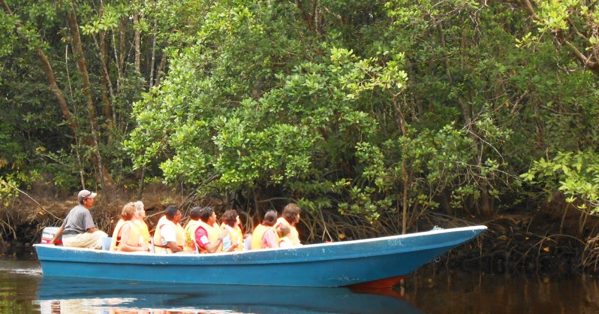 HAFIZ'S CHERATING ACTIVITIES