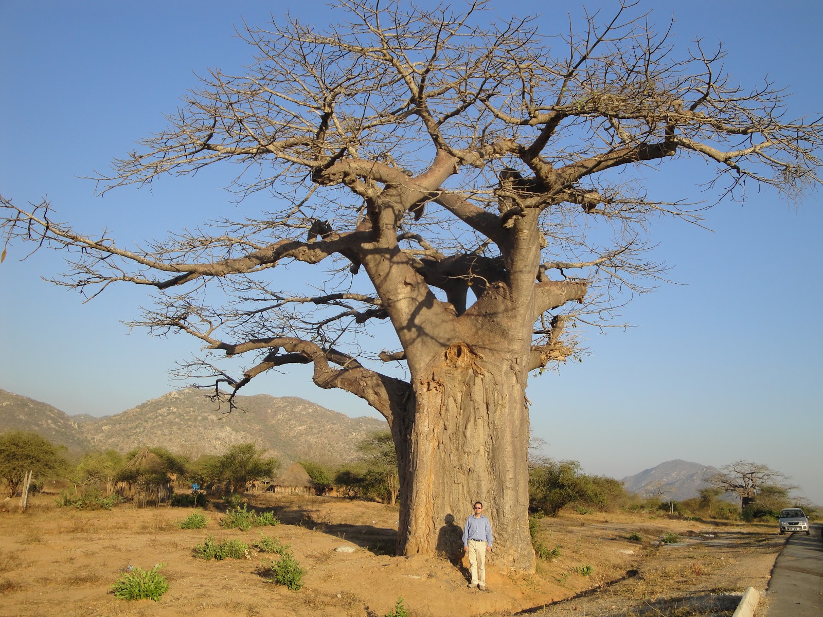 Lobito - Benguela - Angola: ==> *** Município do Chongoroi - Terra dos ...