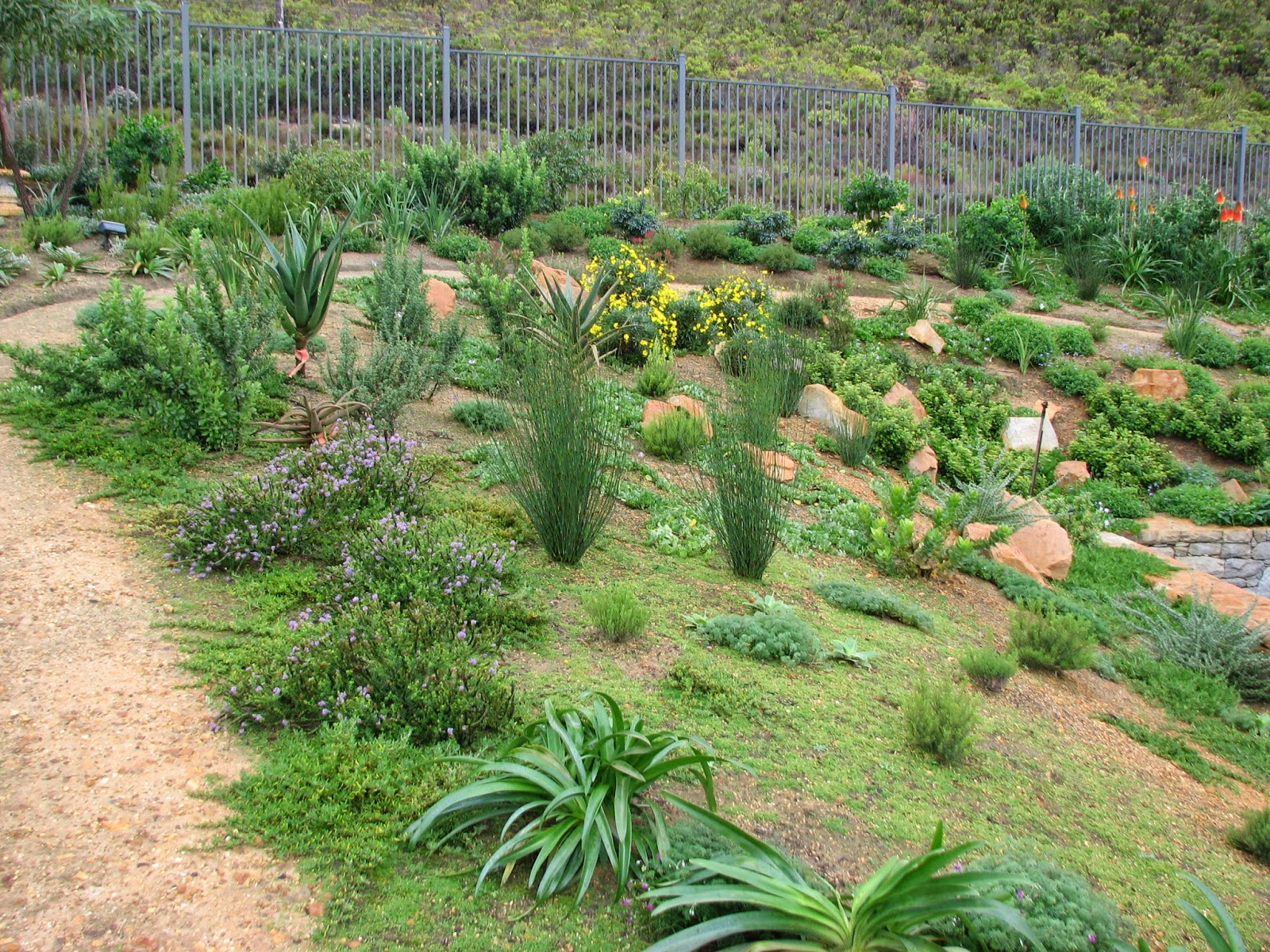 Fynbos Gardens Hermanus: House Pieters.