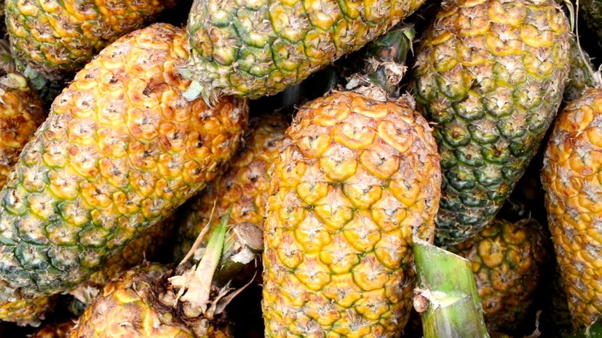 Frutas típicas del Chocó