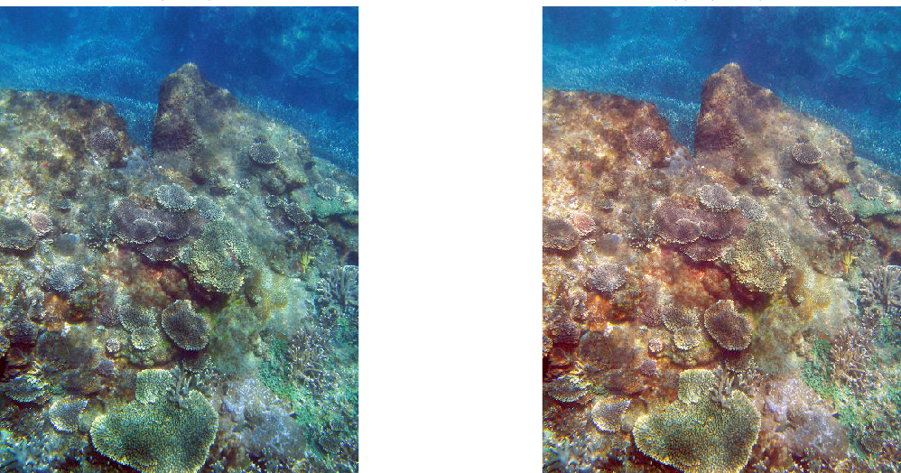 Balance Contrast Enhancement Technique (BCET) | IMAGE PROCESSING