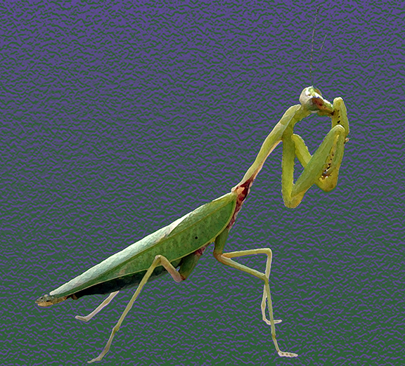 Tell Me a Story: Amsterdam via the Twilight Zone