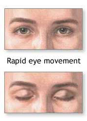 .acontemporaneablog.: RAPID EYE MOVEMENT by lar peterson