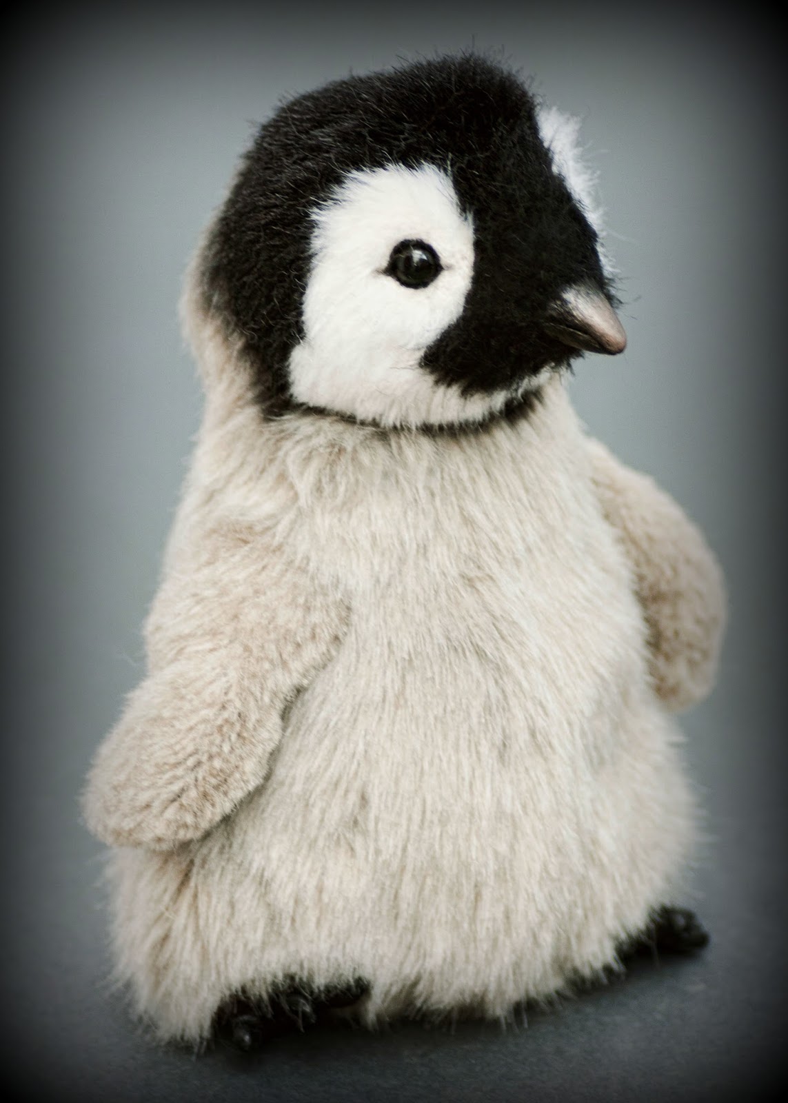 Three O'Clock Bears: Peep the Penguin