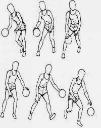 Fundamentos del baloncesto: Fundamentos del baloncesto