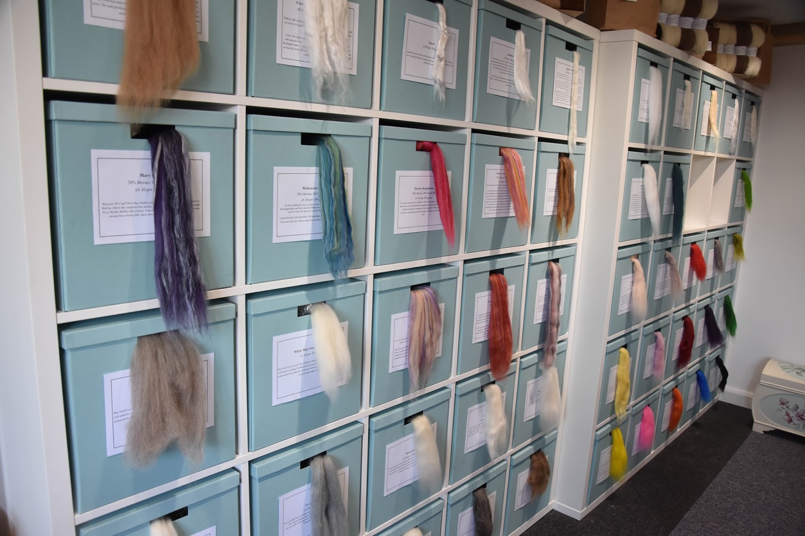 Purple Donsu: Freya Jones