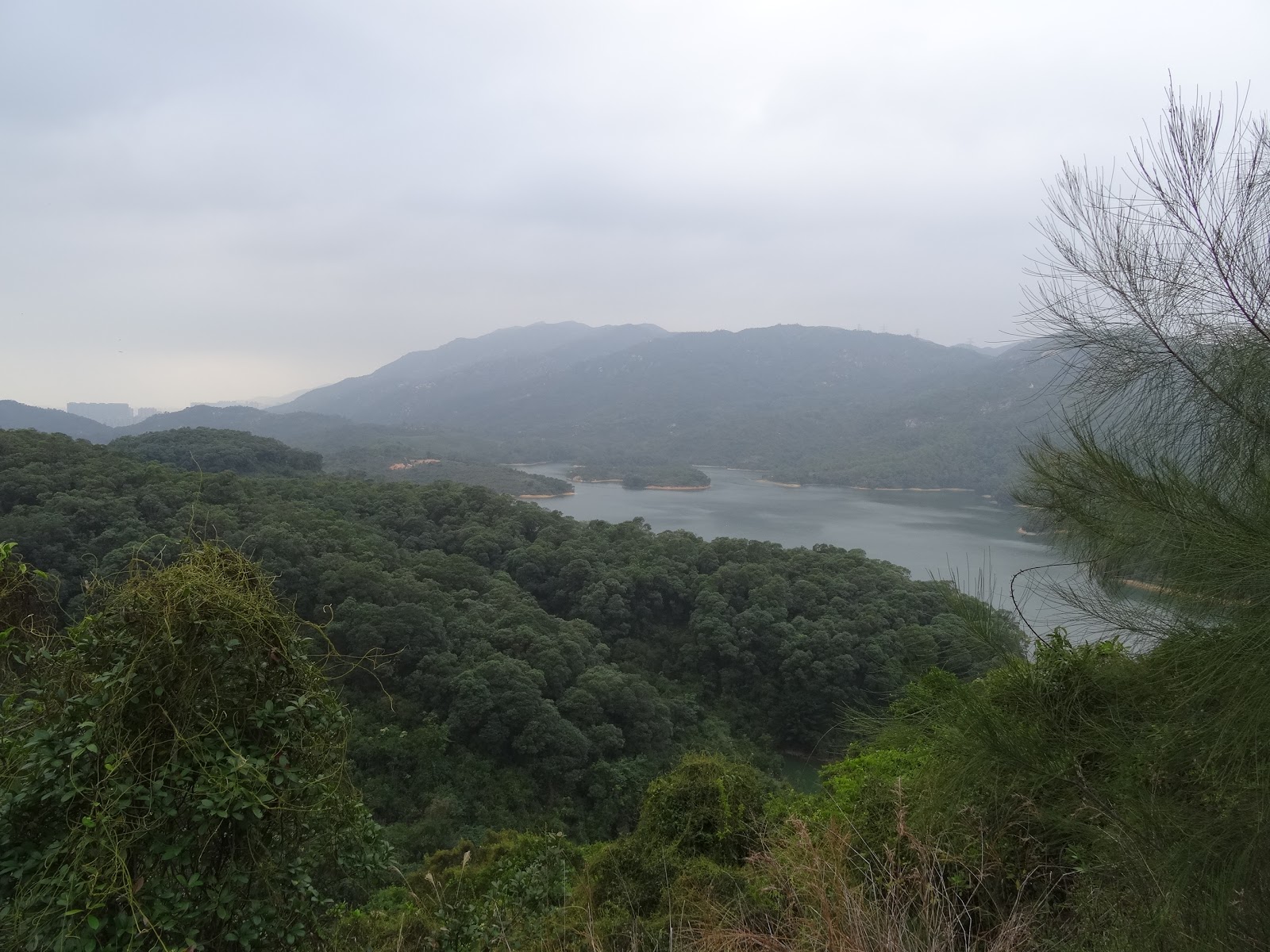 WEBS OF SIGNIFICANCE: A Tai Lam Country Park hike whose trailhead is by ...