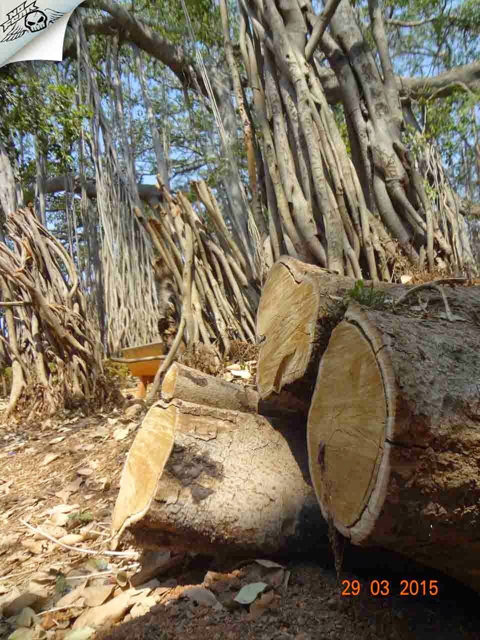 Manchinbele dam - Incredible View 29/03/2015
