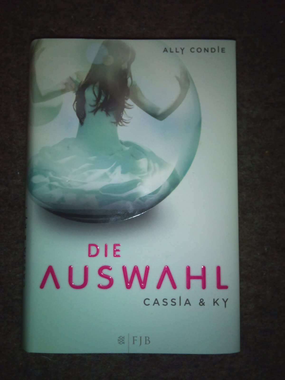 Vanessas Bücherecke: Die Auswahl