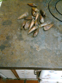 na COZINHA: PINHÃO ASSADO NA CHAPA DO FOGÃO DE LENHA!