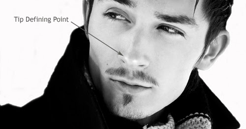 Anatomical Details For "A Beautiful Nose Tip"