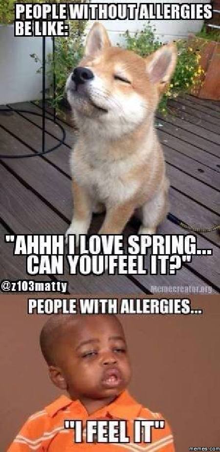 Speak of the Devil: Beware The Coming Of Spring Allergies